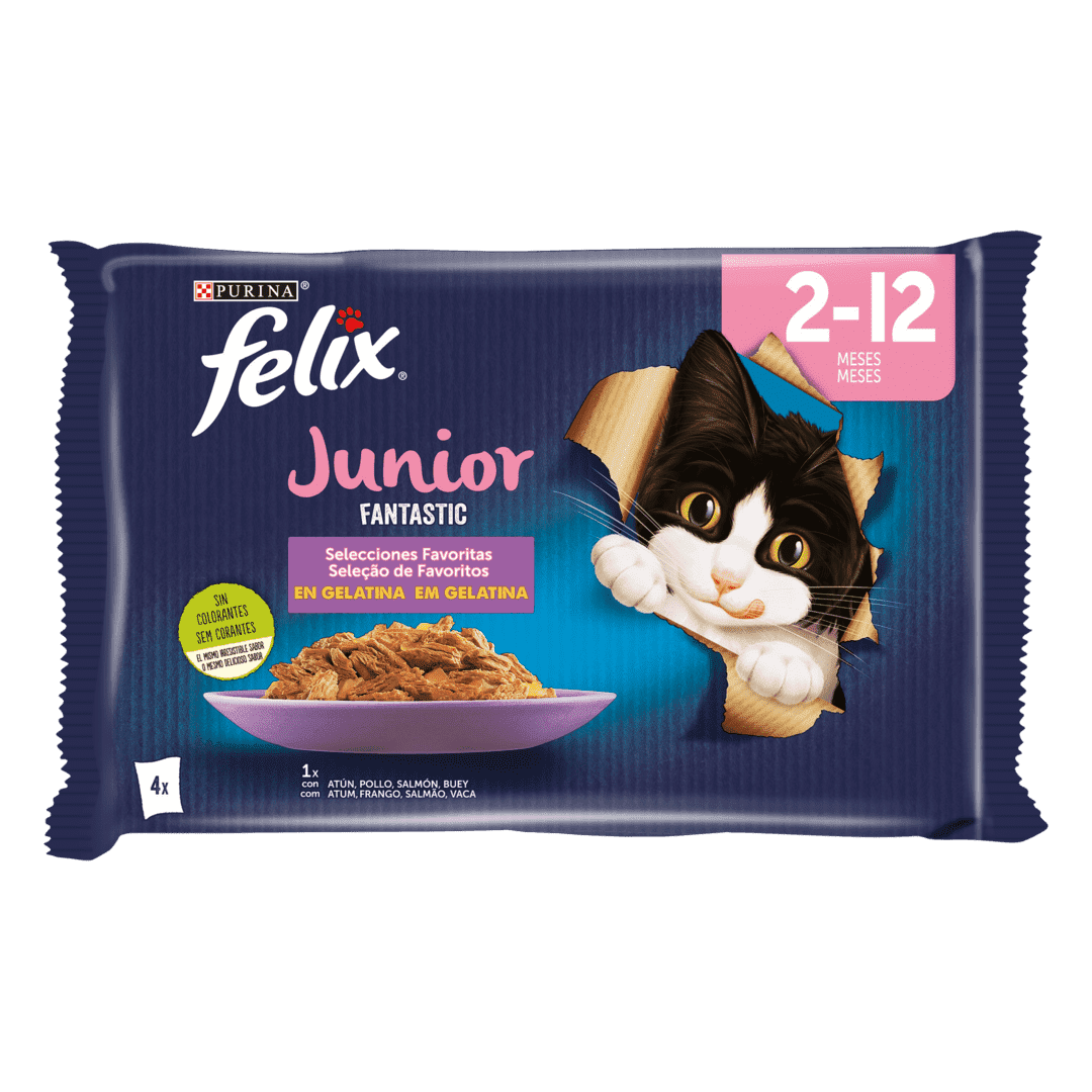 PURINA Felix Fantastic Junior para gatinhos | Purina PT
