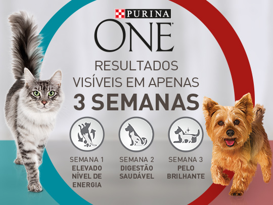 Purina ONE*®* – Alimentos para cães e gatos | Purina