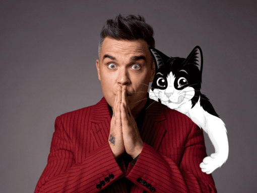 FELIX e Robbie Williams: A combinação Puuurrrrrfeita | Purina PT