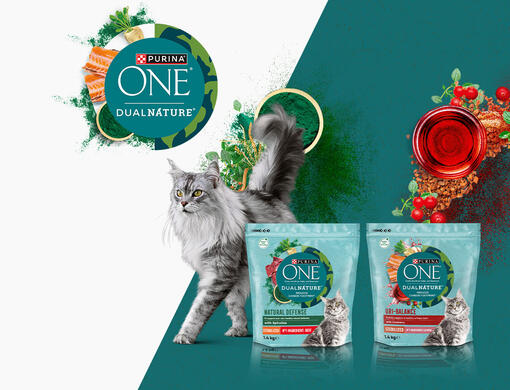 Purina: Especialistas em nutrição | PURINA