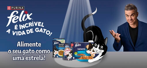 Produtos Purina Felix: Conheça a nossa seleção | Purina